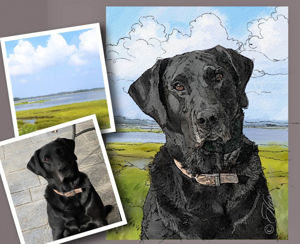 Sketch for a Painting of a Black Lab - Hope Lane Art